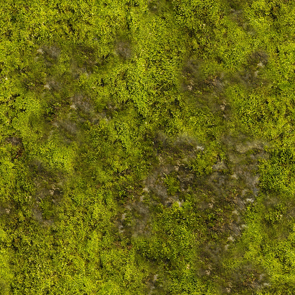Technique: Moss – Designing Maps